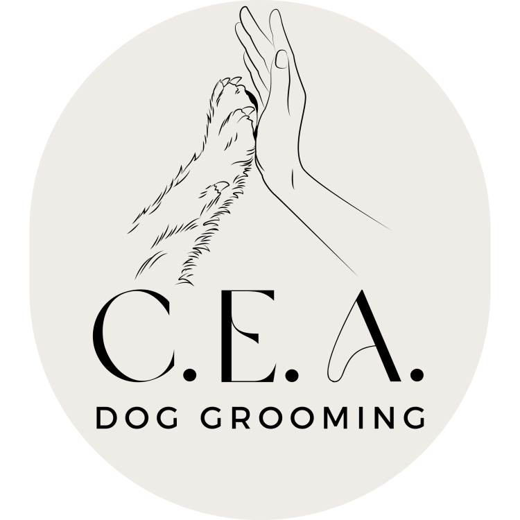 Gallery – C.E.A. Dog Grooming